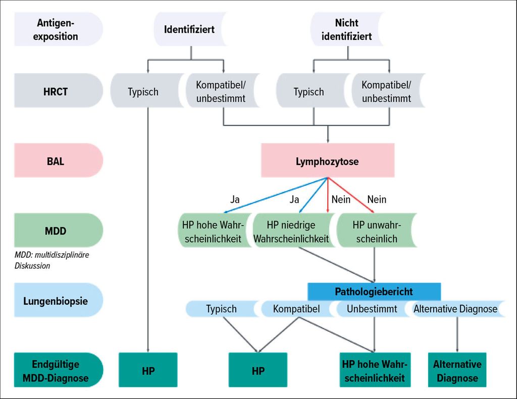 Hypersensitivitätspneumonitis – wie oft denken wir Pathologen nicht da ...